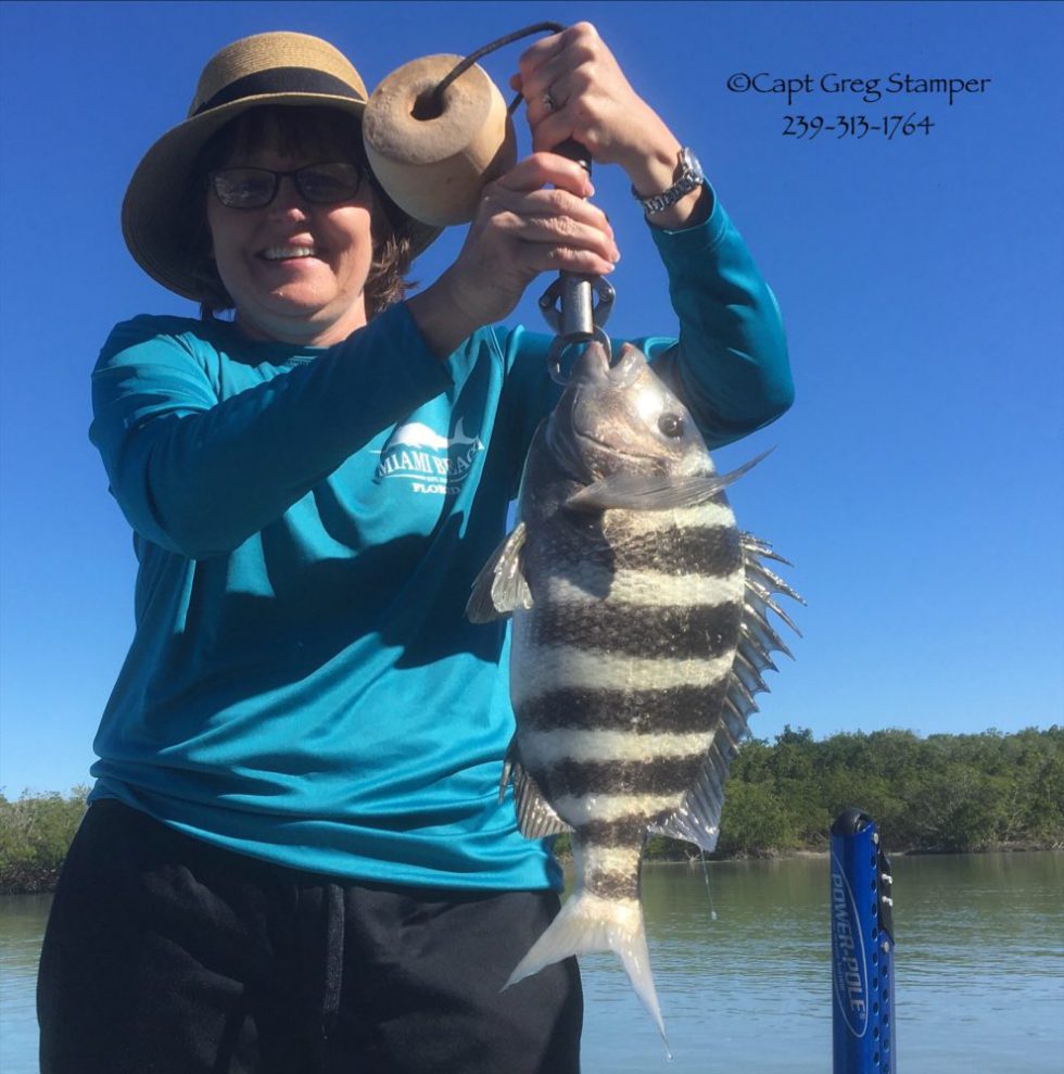 April forecast | Snook Stamp Charters