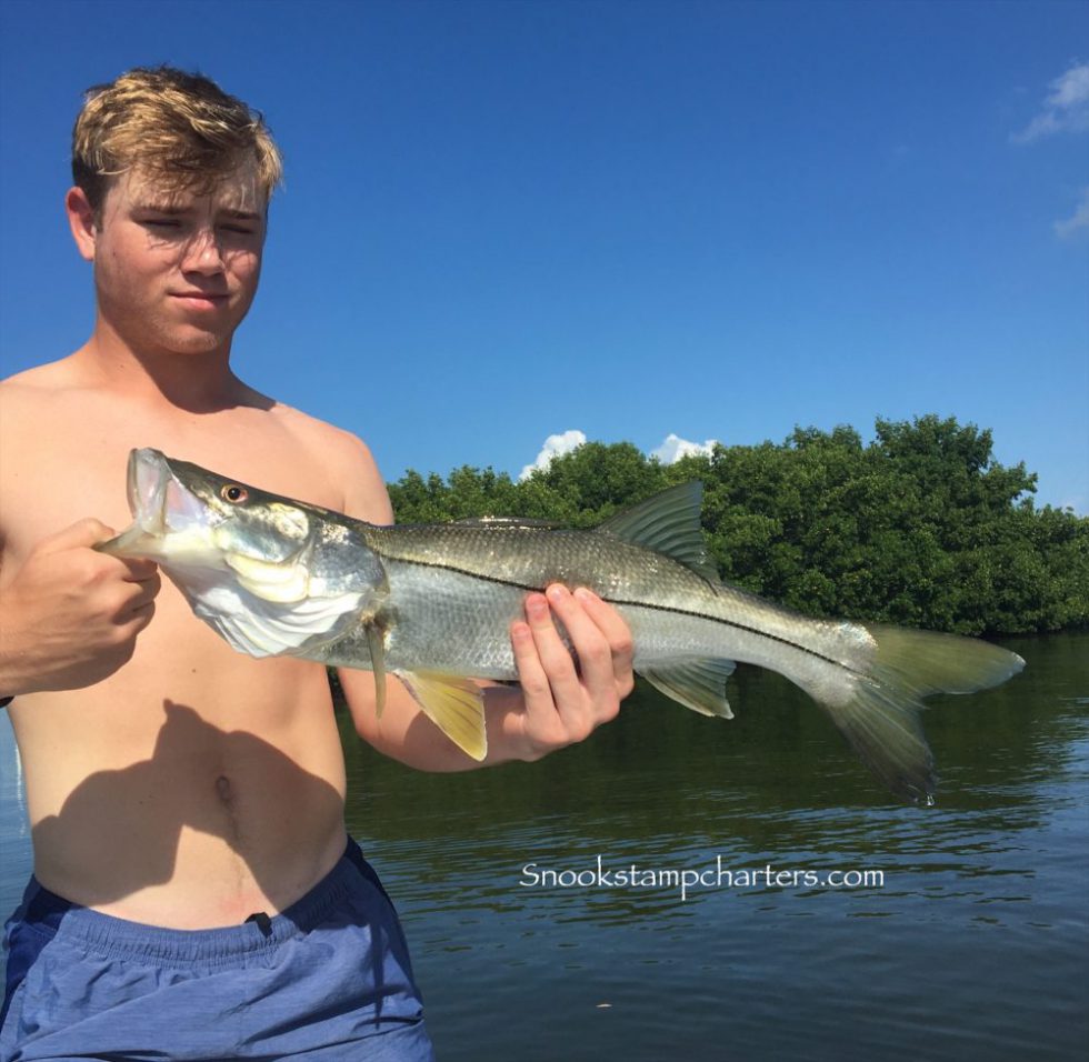 Things are Hot! | Snook Stamp Charters