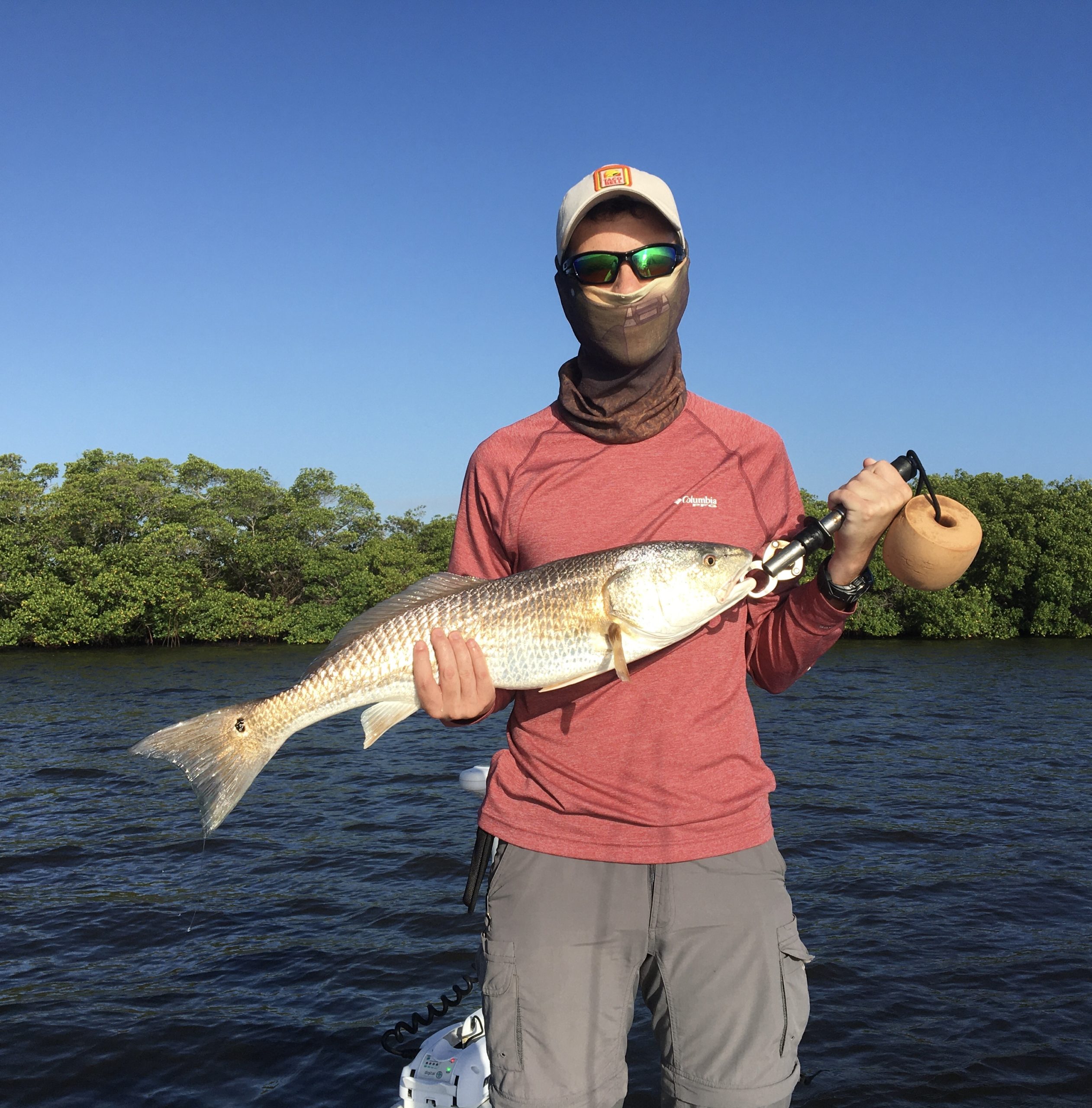Catches and Reports | Snook Stamp Charters